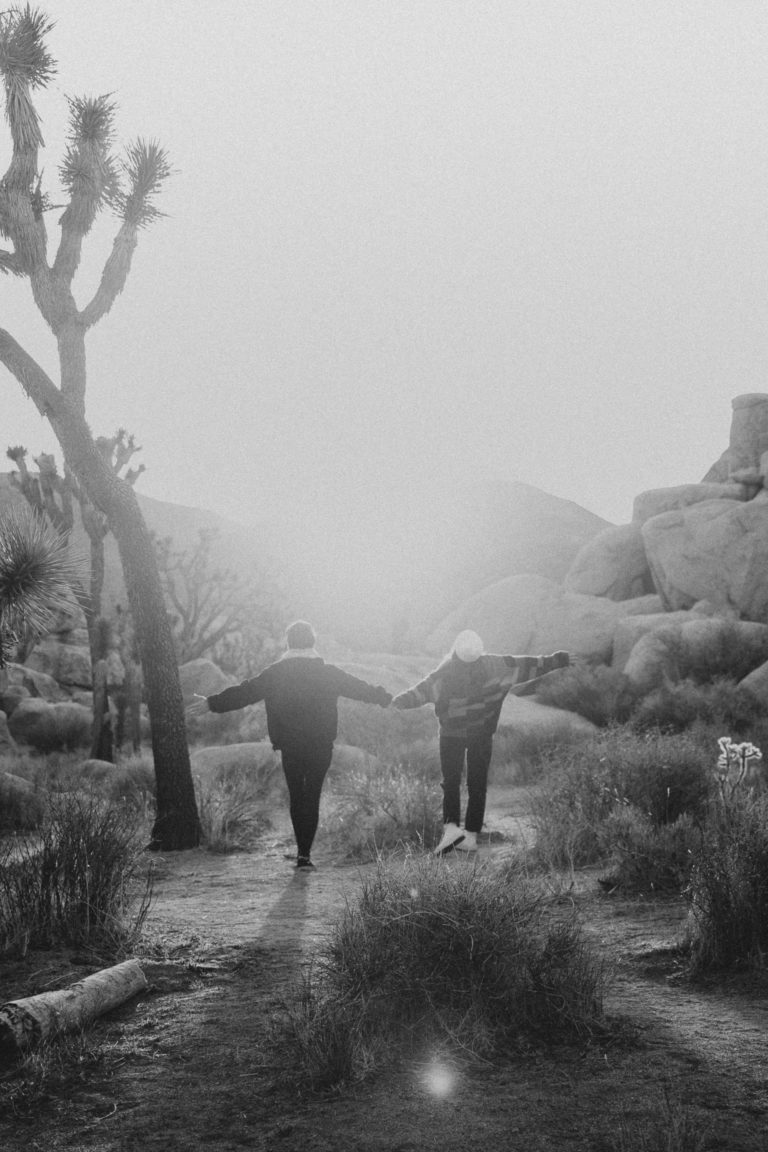 Joshua Tree National Park Sunrise Skateboard Couples Session in ...