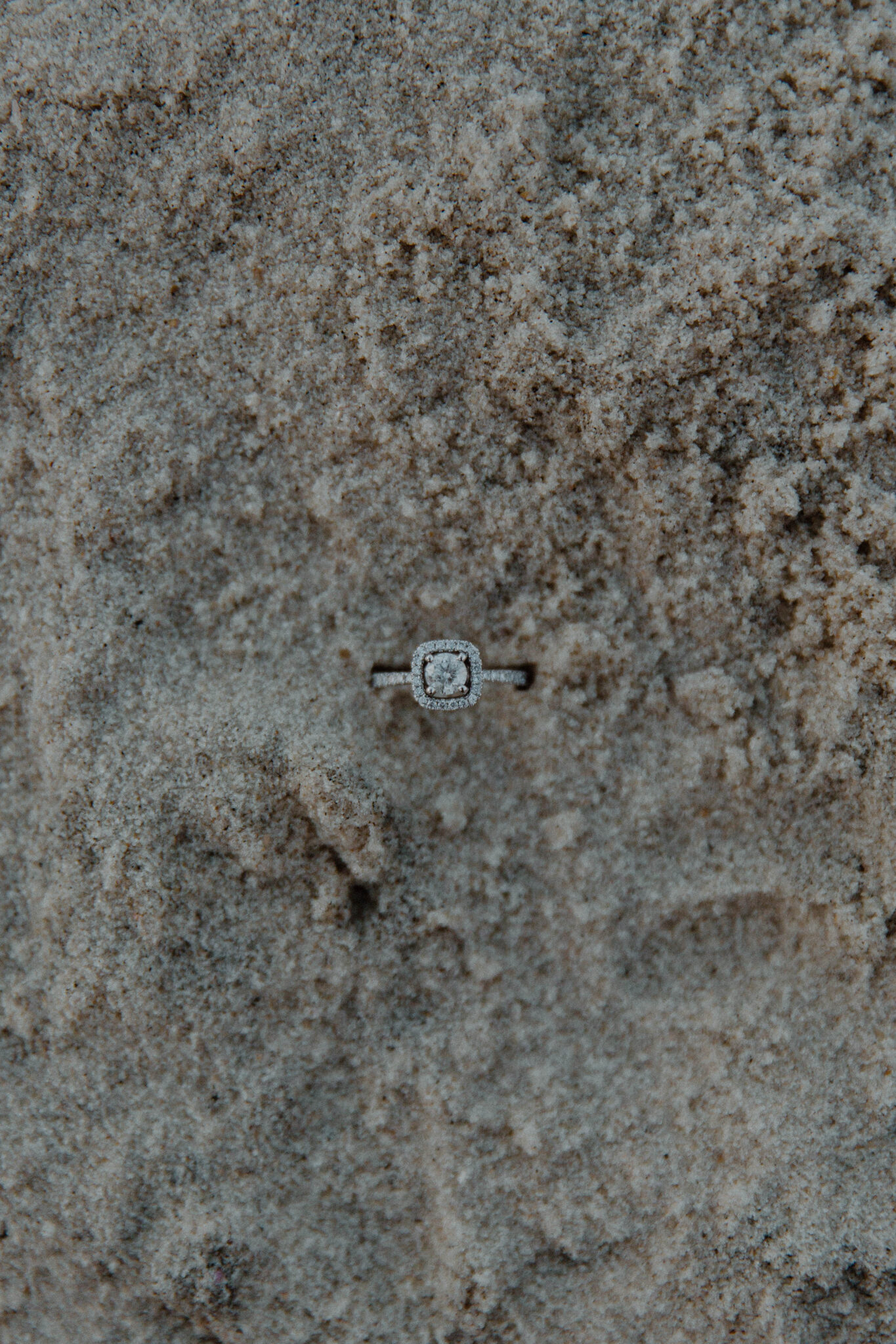 Dauphin Island Destination Surprise Proposal in Alabama // Harrison ...