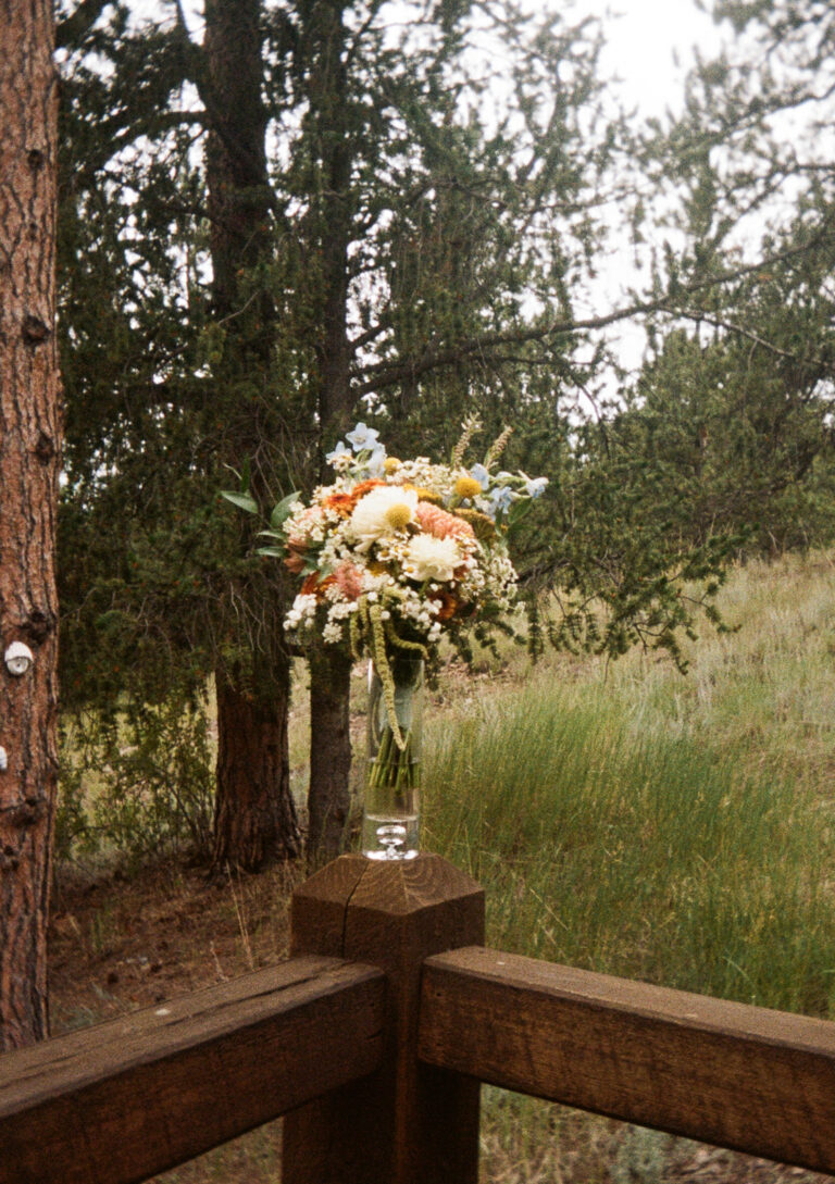 Intimate Summer Micro Wedding in Colorado Springs, Colorado // Ben ...