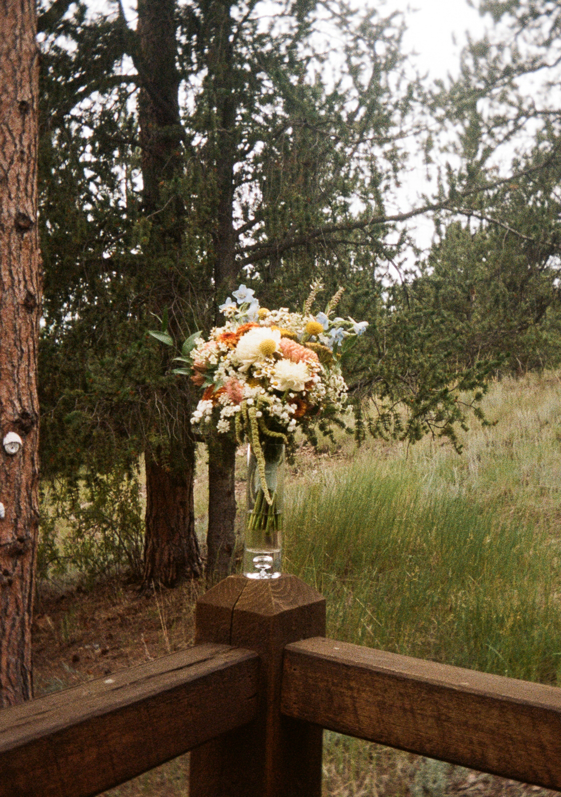 Intimate Summer Micro Wedding in Colorado Springs, Colorado // Ben ...